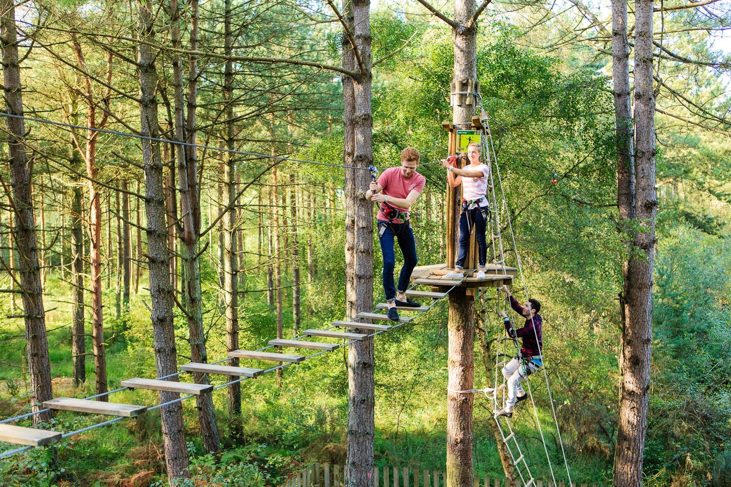 Go Ape at Bedgebury National Pinetum - Golf in Kent